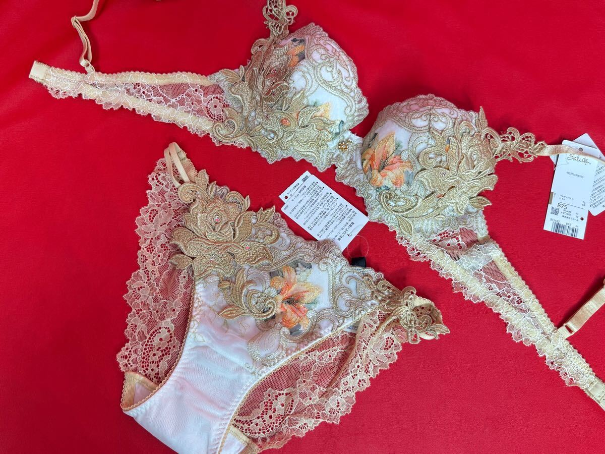 サルート 82グループ ルネッサンス B75&ショーツM IV プレステージ(75)｜売買されたオークション情報、yahooの商品情報をアーカイブ公開 - オークファン（aucfan.com）