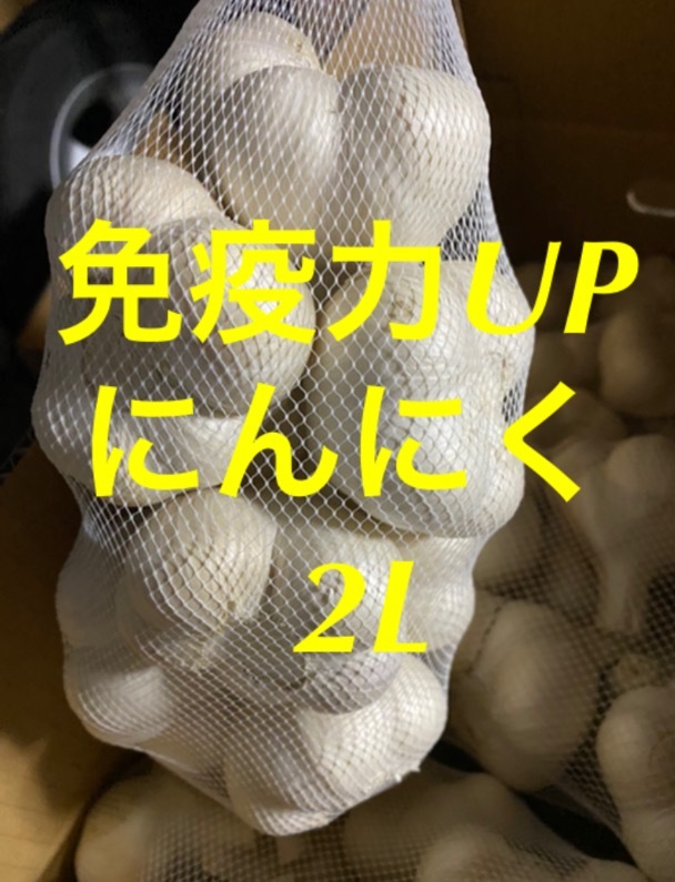 Yahoo!オークション - 青森県にんにく3Kg 2L 良品