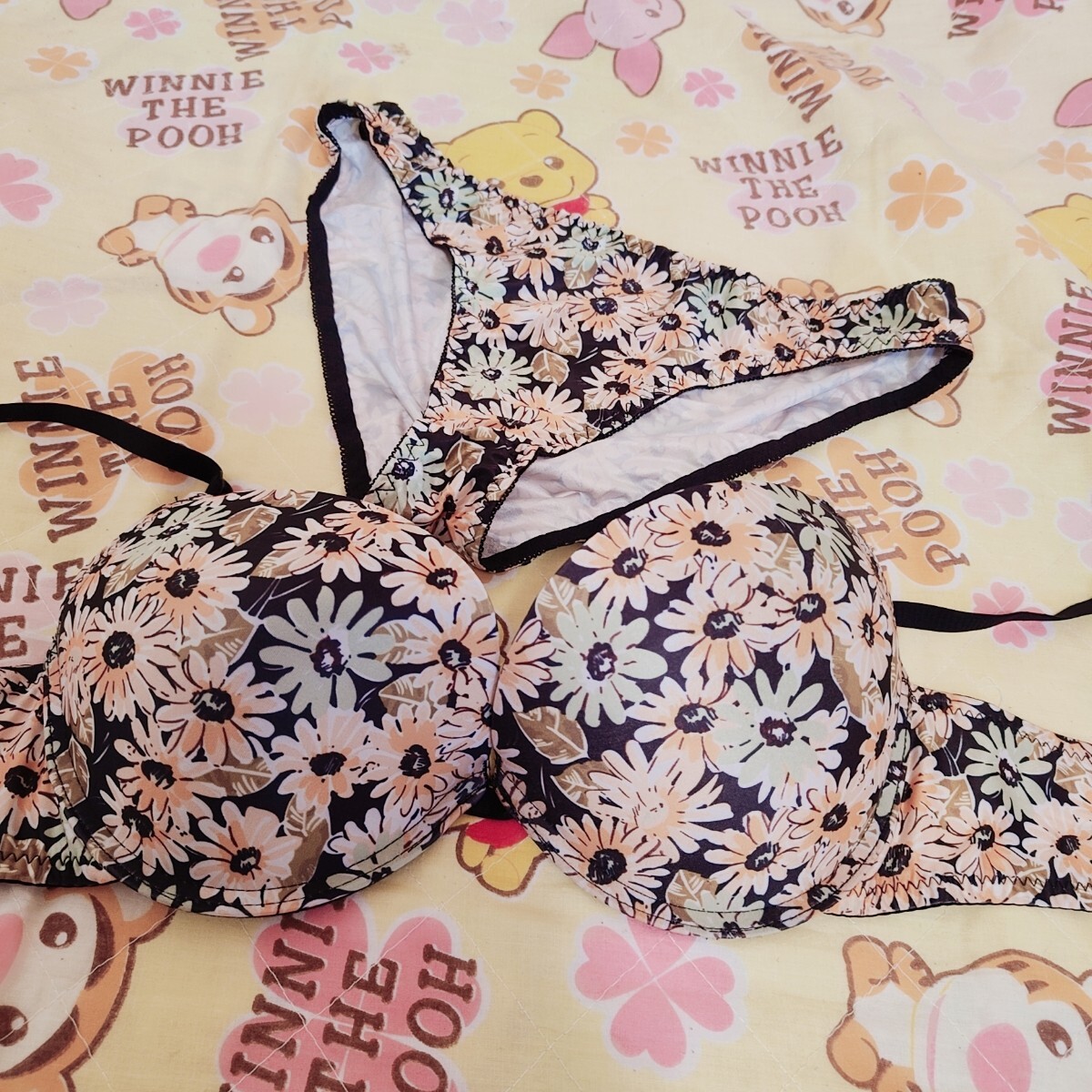 Yahoo!オークション - Eco C85 上下セット ブラパン ショーツ パンティ...