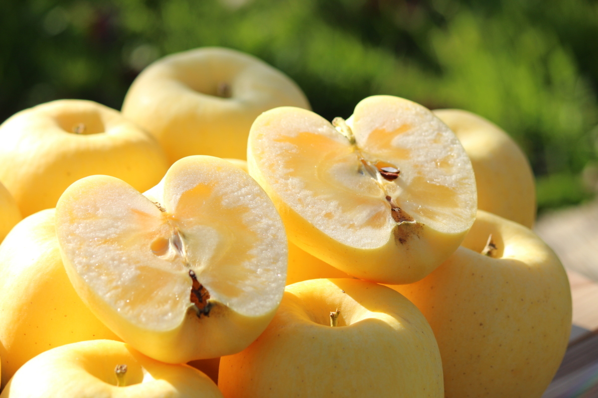 Yahoo!オークション - 予約 山形県産 はるか2kg6～8玉 秀