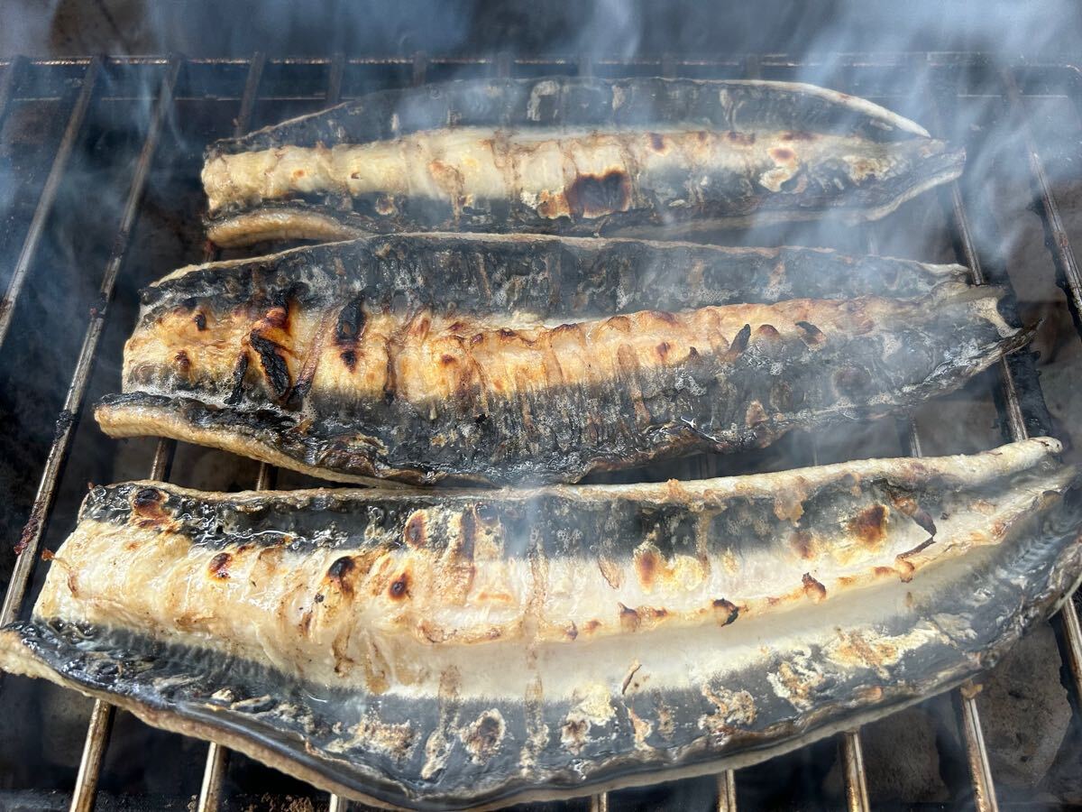 Yahoo!オークション - 【宮崎県産】大サイズ140g -170g 6尾セット 炭火...