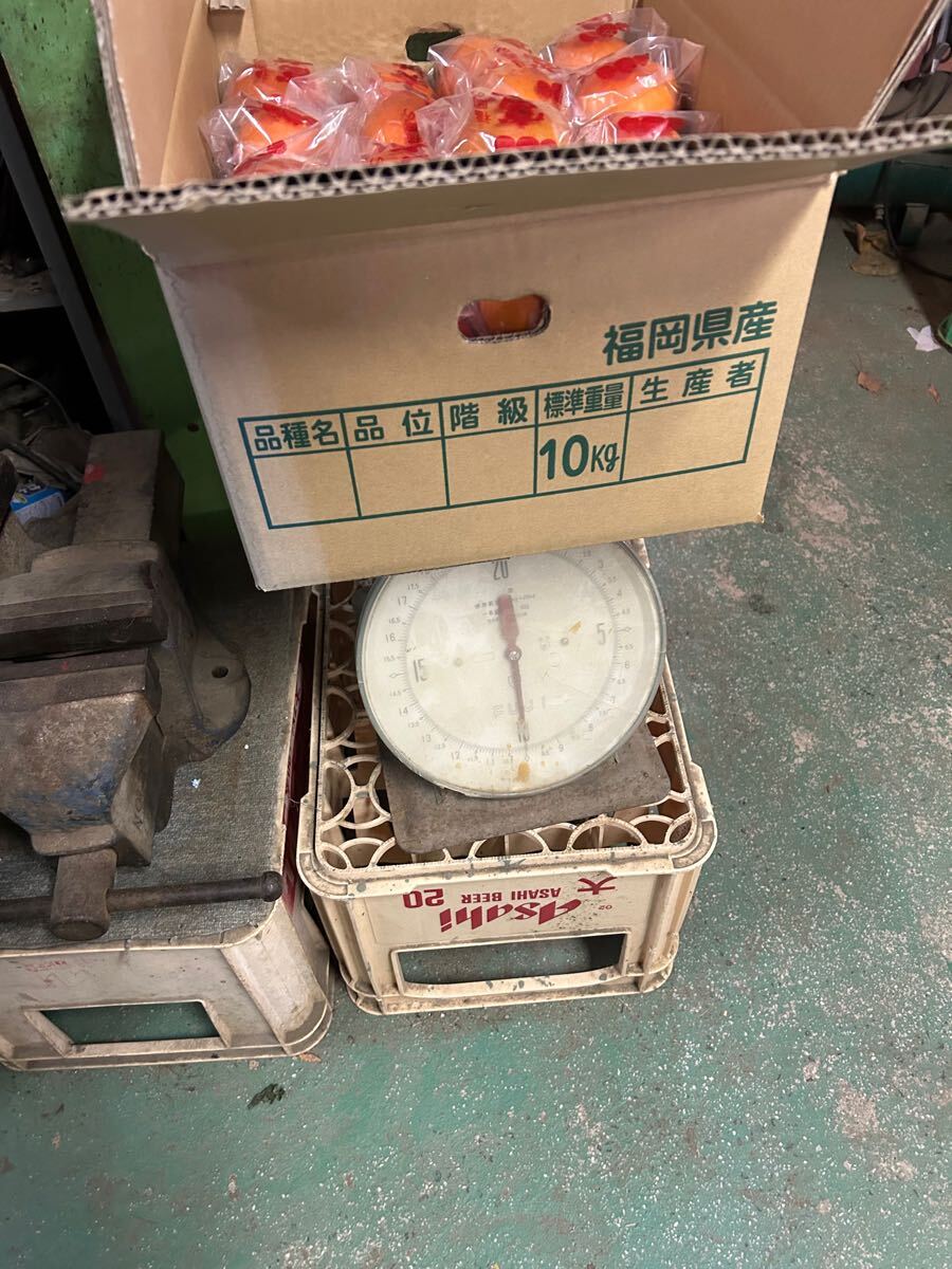 Yahoo!オークション - 冷蔵柿約10キロ