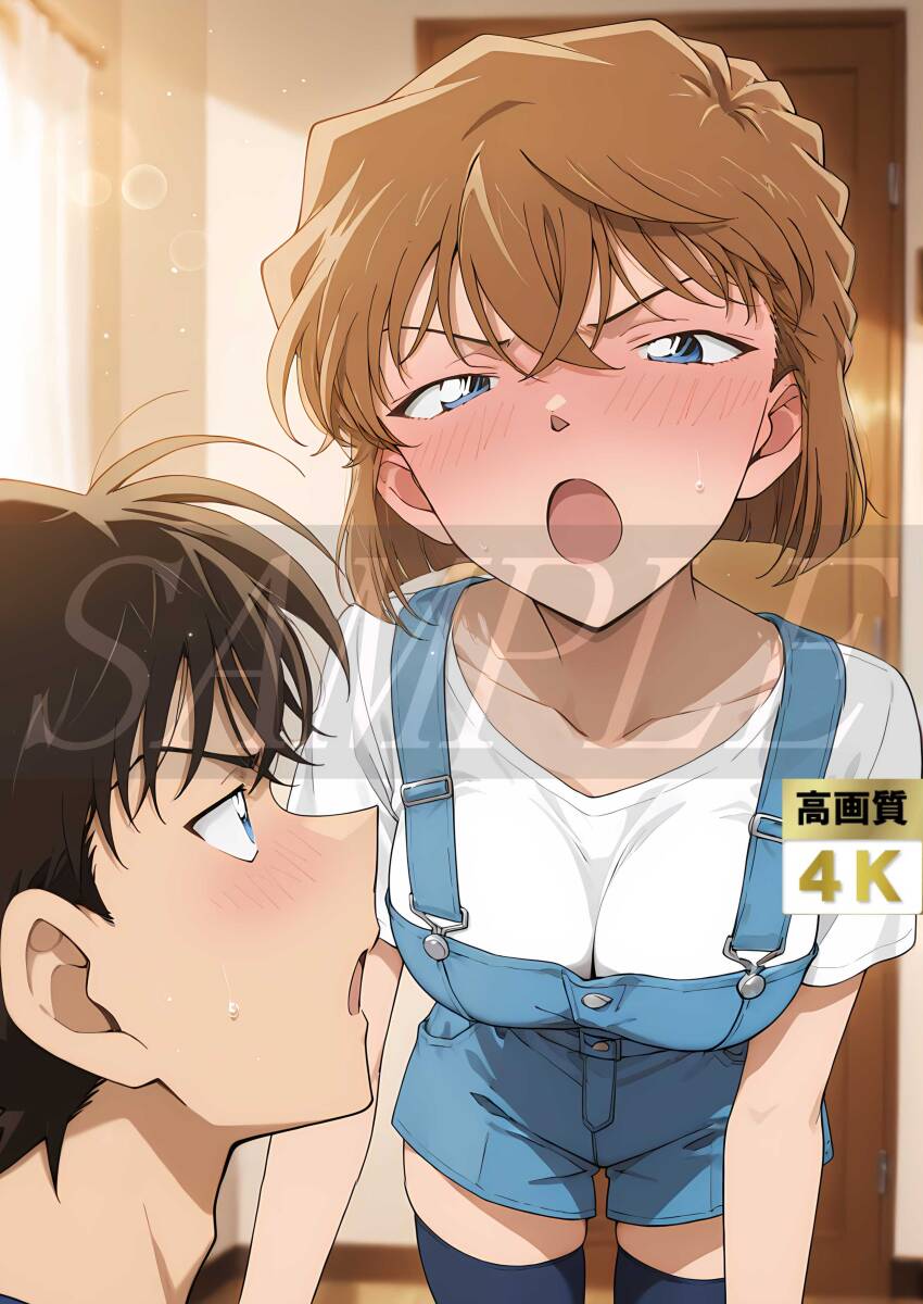 Yahoo!オークション - t灰原哀-工藤新一 名探偵コナン アニメ 同人 A4 ...