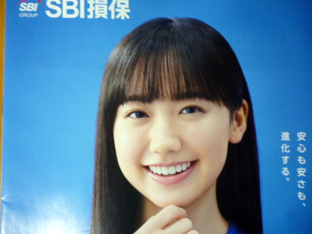 Yahoo!オークション - 最新 SBI損保 パンフレット カタログ 芦田愛菜