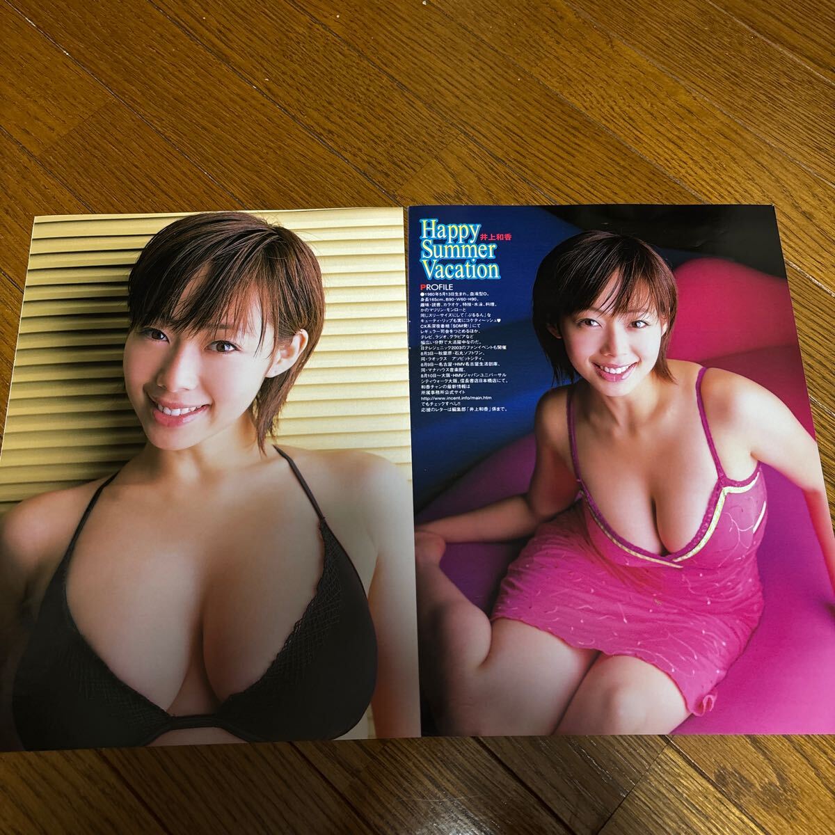 Yahoo!オークション - 井上和香 切り抜き6P&表紙1P