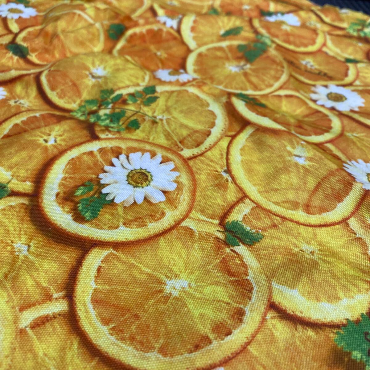 Yahoo!オークション - 78cm アスティンムーラー オックス オレンジ ハ...