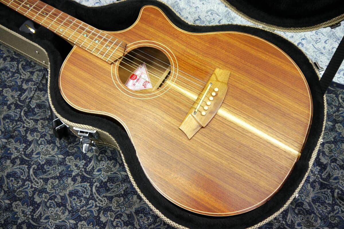 Yahoo!オークション - 【Cole Clark / コールクラーク】 TL2EC-BLBL Th...