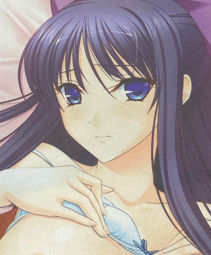 Yahoo!オークション - Ricotta 龍造寺茜抱き枕カバー 正規品 ワルキュ...