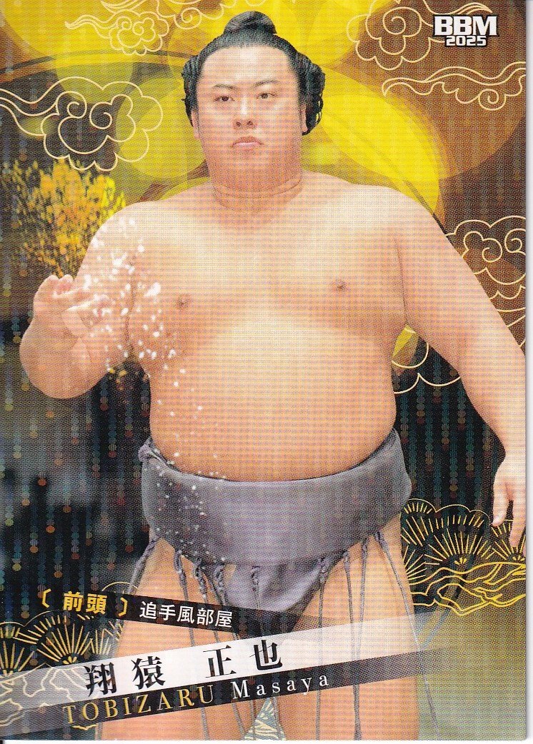n13 2025BBM 大相撲カード キラパラレル #17 翔猿 正也(ベースボール･マガジン)｜売買されたオークション情報、yahooの商品情報をアーカイブ公開 - オークファン ...