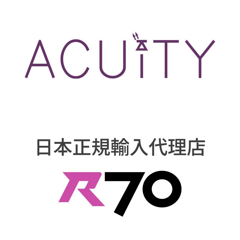 Yahoo!オークション - ACUITY 2024- ホンダ シビック RS FL1 6MT アク...