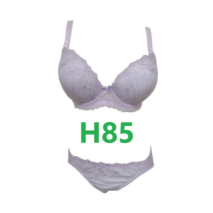訳あり H85/LL パープル ブラジャー＆ショーツ 蝶々刺繍 パステルカラー 3/4モードドカップ 補正下着 大きいサイズ(80以上)｜売買されたオークション情報、yahooの商品情報を ...