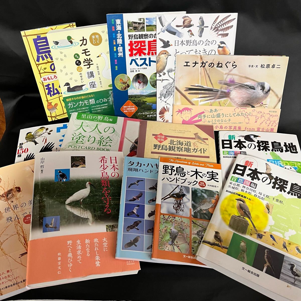 Yahoo!オークション - n111 野鳥観察関連 本 まとめ売り 美品 鳥 バー...