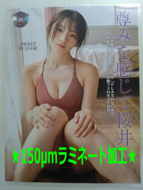 Yahoo!オークション - A170《切り抜き》【尊みを感じて桜井 6P】厚手ラ...