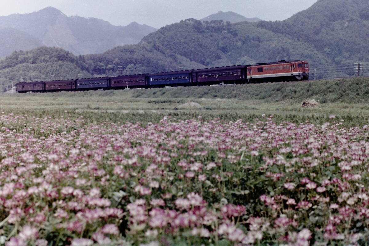 Yahoo!オークション - (B23)503 写真 古写真 鉄道 鉄道写真 蒸気機関車...