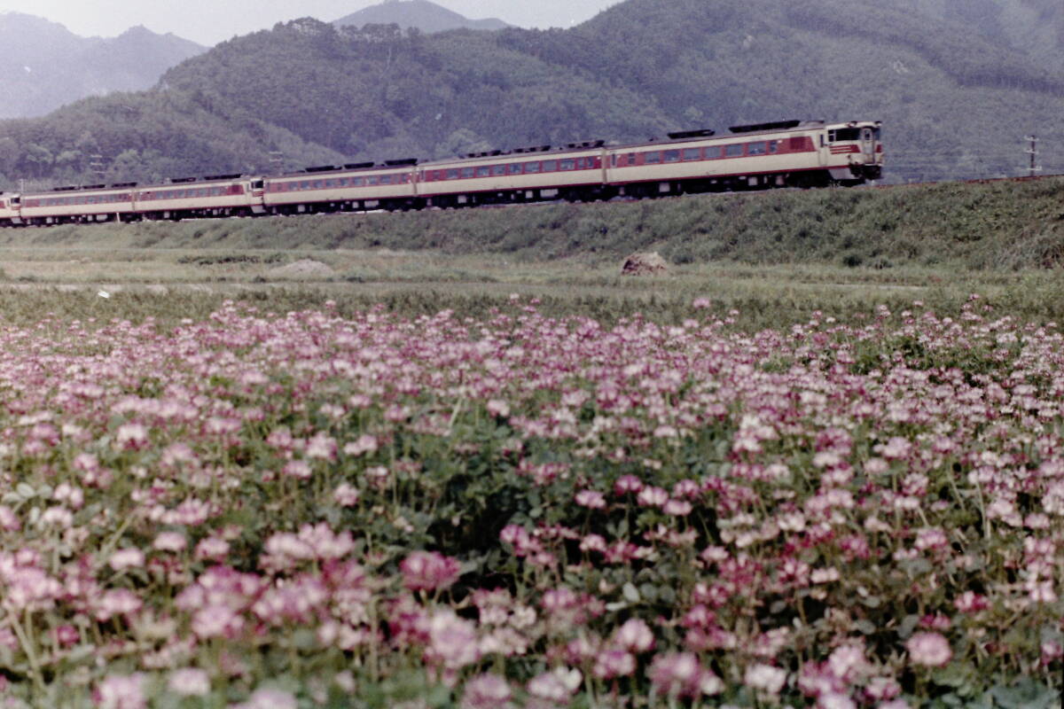 Yahoo!オークション - (B23)503 写真 古写真 鉄道 鉄道写真 蒸気機関車...