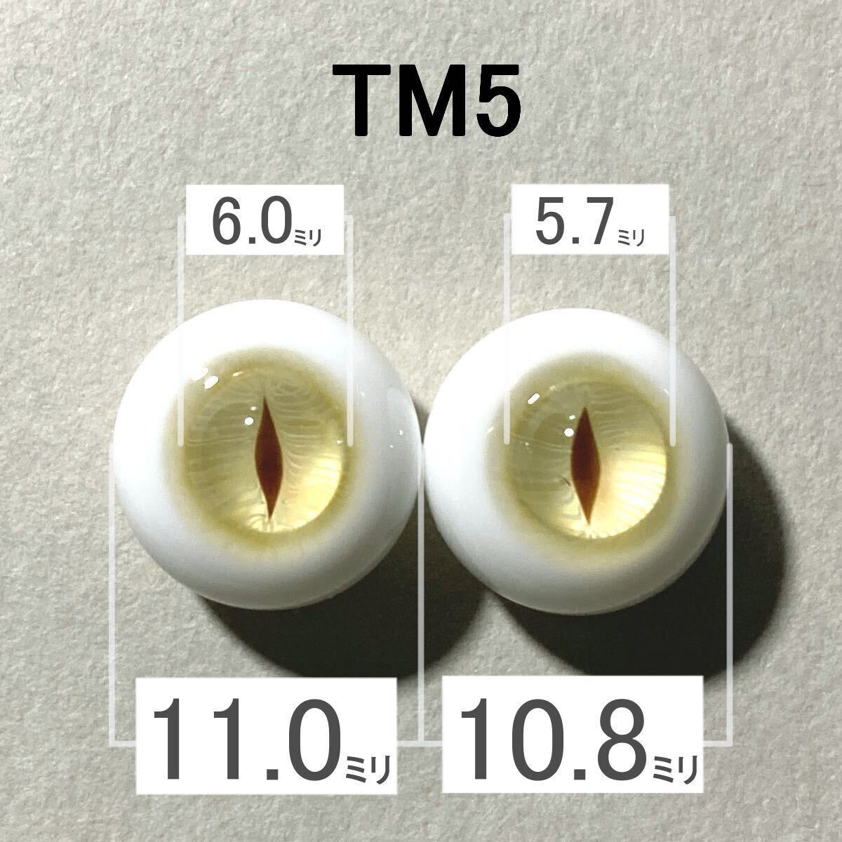 Yahoo!オークション - 【TM5】約11ミリ グラスアイ