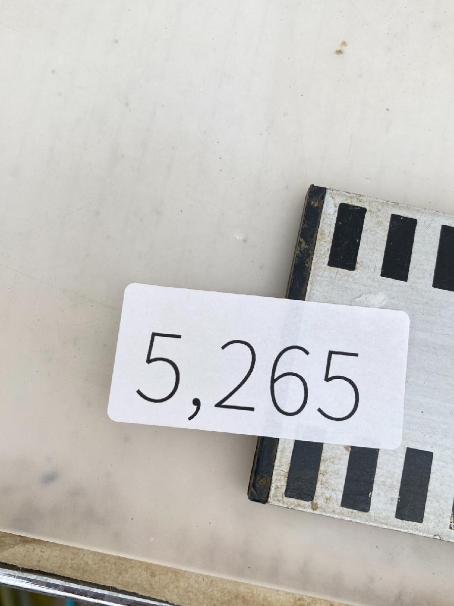 Yahoo!オークション - 5265 「塊根植物」マダガスカル特急便 オペルク...