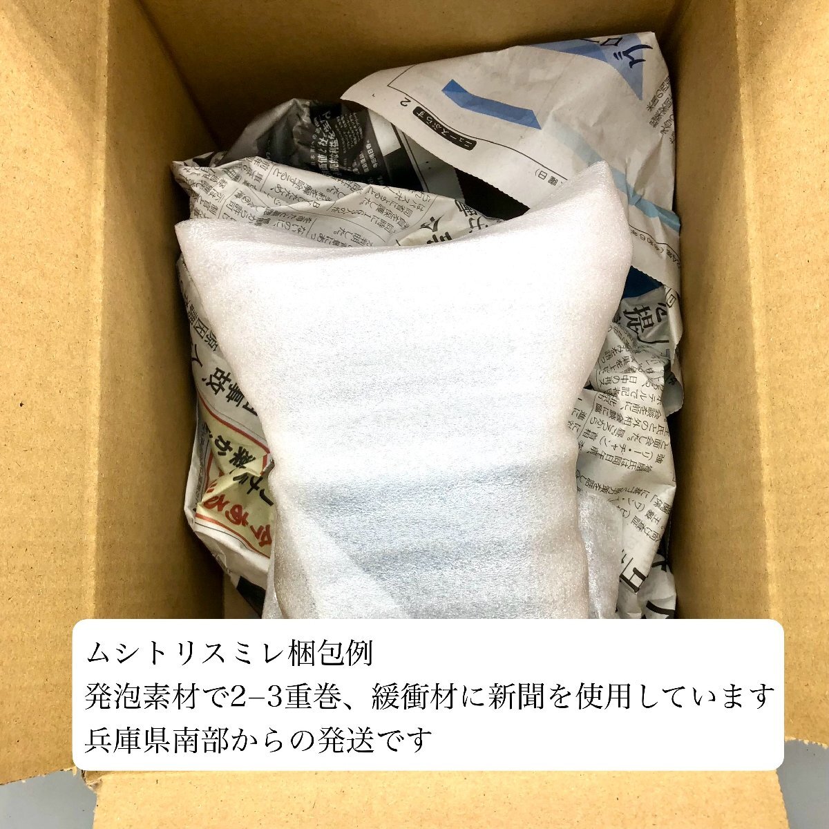 Yahoo!オークション - -G93- ムシトリスミレ ‘朧月‘ 010801