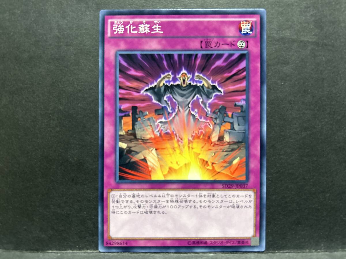 Yahoo!オークション - 遊戯王 SD29「強化蘇生」1枚 ノーマル 未使用 数...