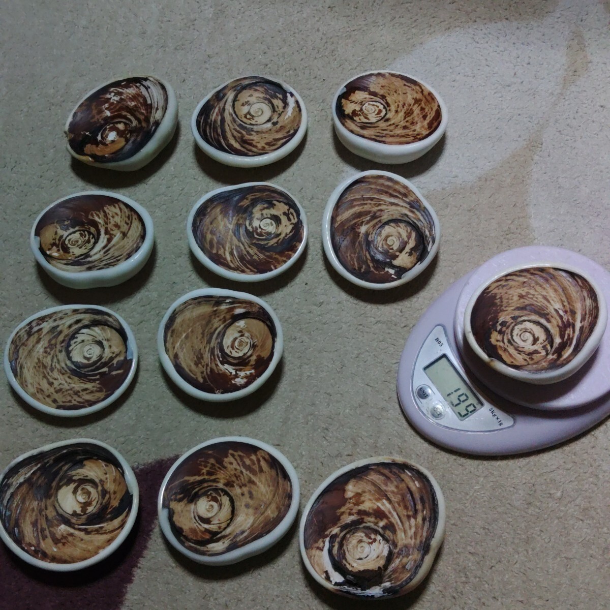 Yahoo!オークション - 夜光貝 蓋 190g～220gくらい 12個まとめて 貝細工