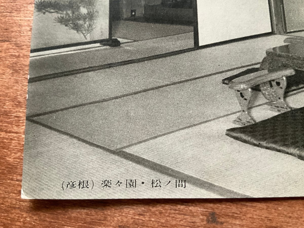 Yahoo!オークション - VV-7398 送料込 滋賀県 彦根市 楽々園 松の間 掛...