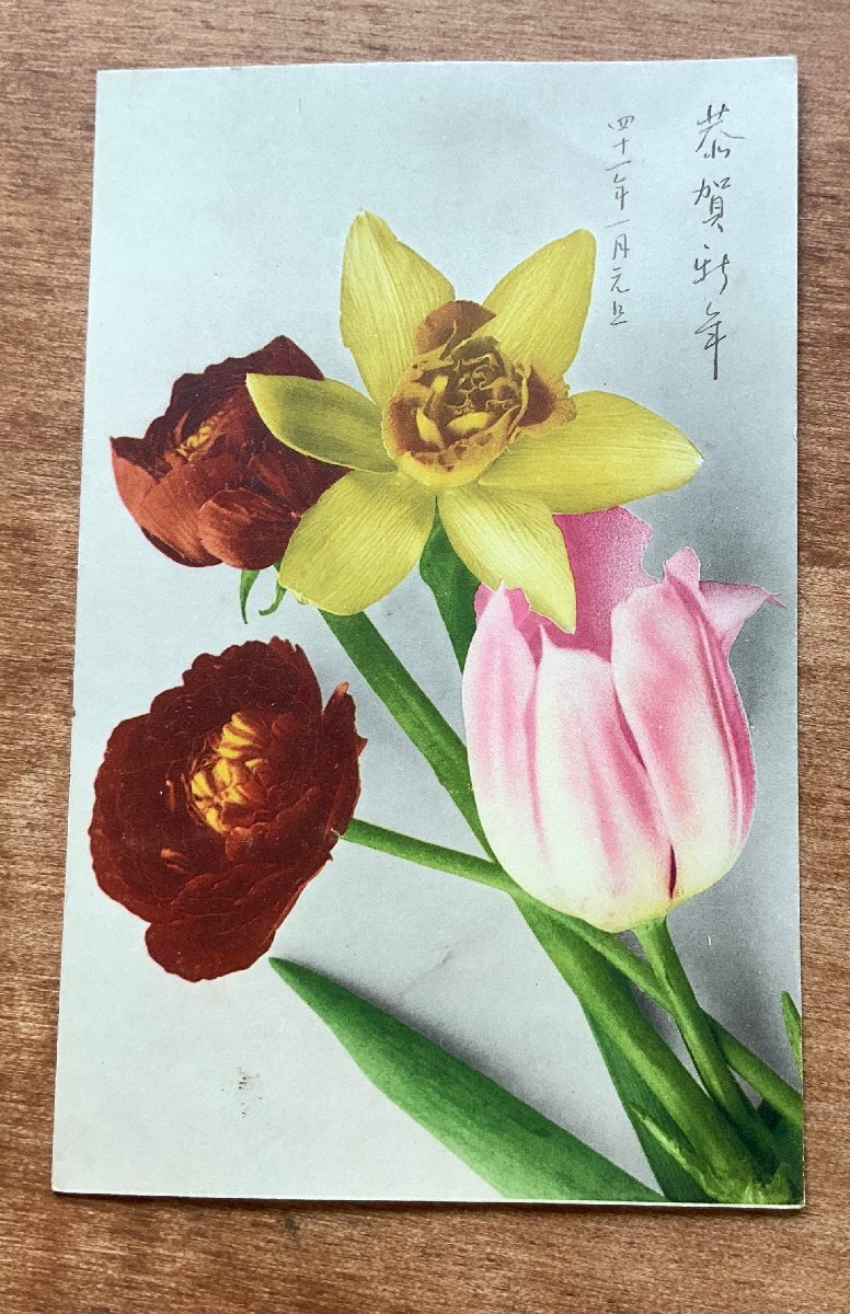 Yahoo!オークション - VV-7306 送料込 花 植物 チューリップ ダリア 年...