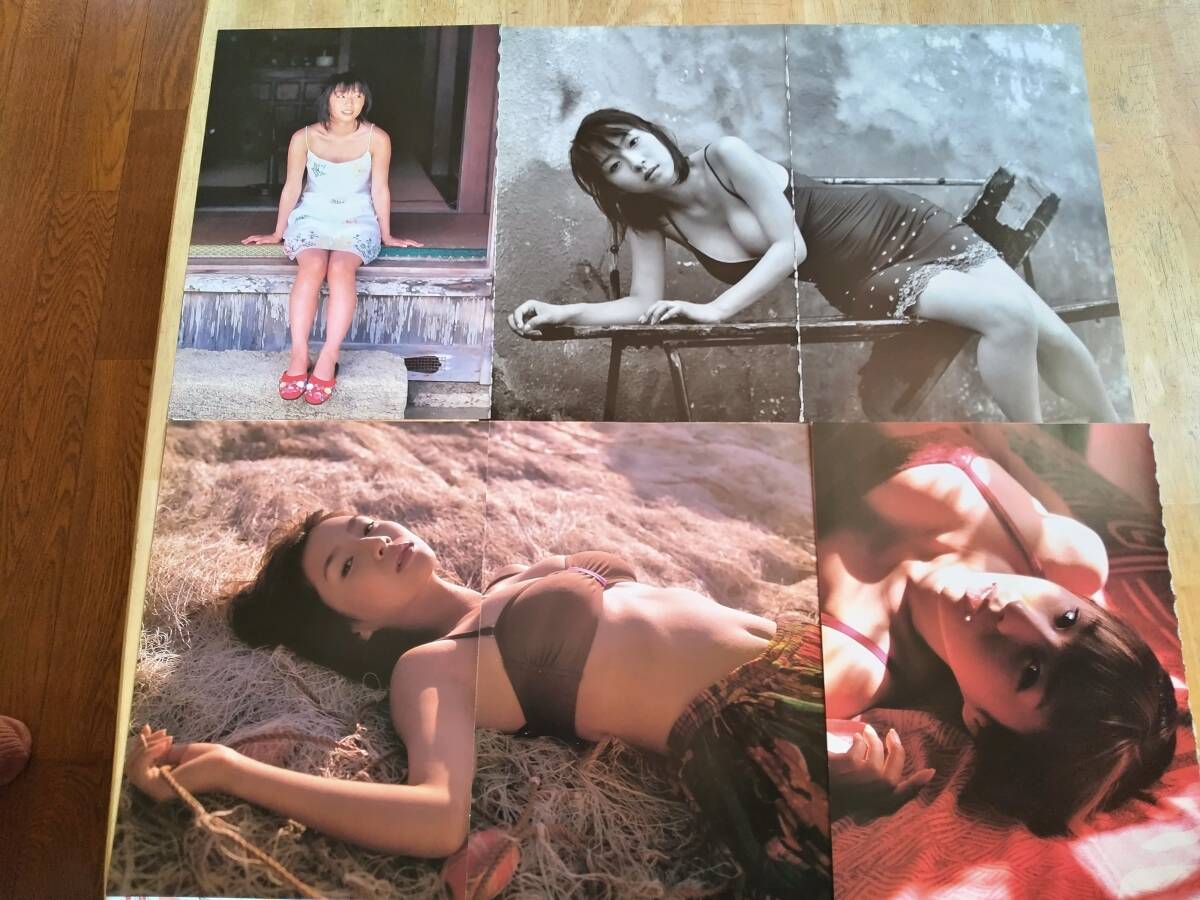 Yahoo!オークション - 酒井 若菜 新旧切り抜き寄せ集め 23P