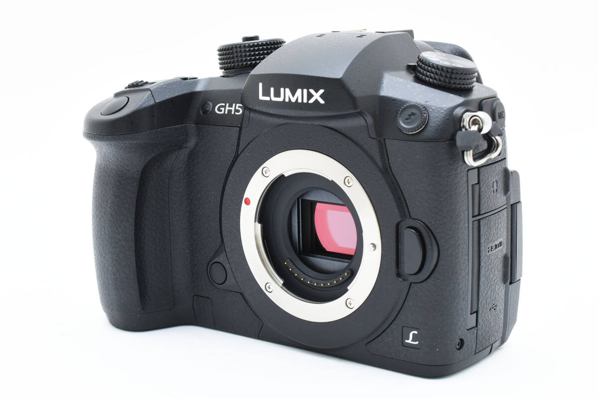Yahoo!オークション - 新品級 Panasonic LUMIX RD-SPM049 GH5 #233388...