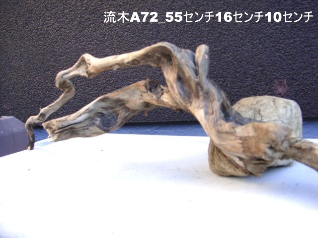 Yahoo!オークション - 流木A72_55センチ16センチ10センチ