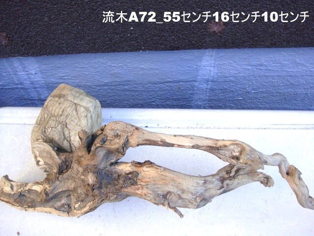 Yahoo!オークション - 流木A72_55センチ16センチ10センチ