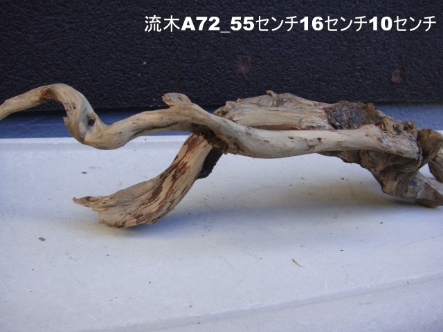 Yahoo!オークション - 流木A72_55センチ16センチ10センチ
