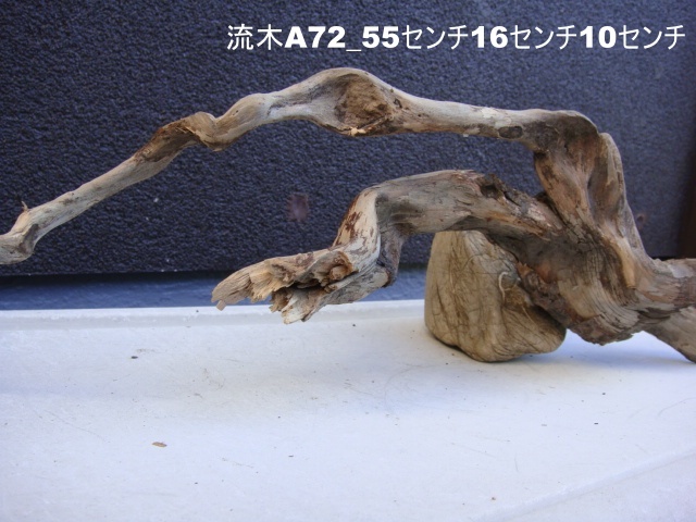 Yahoo!オークション - 流木A72_55センチ16センチ10センチ