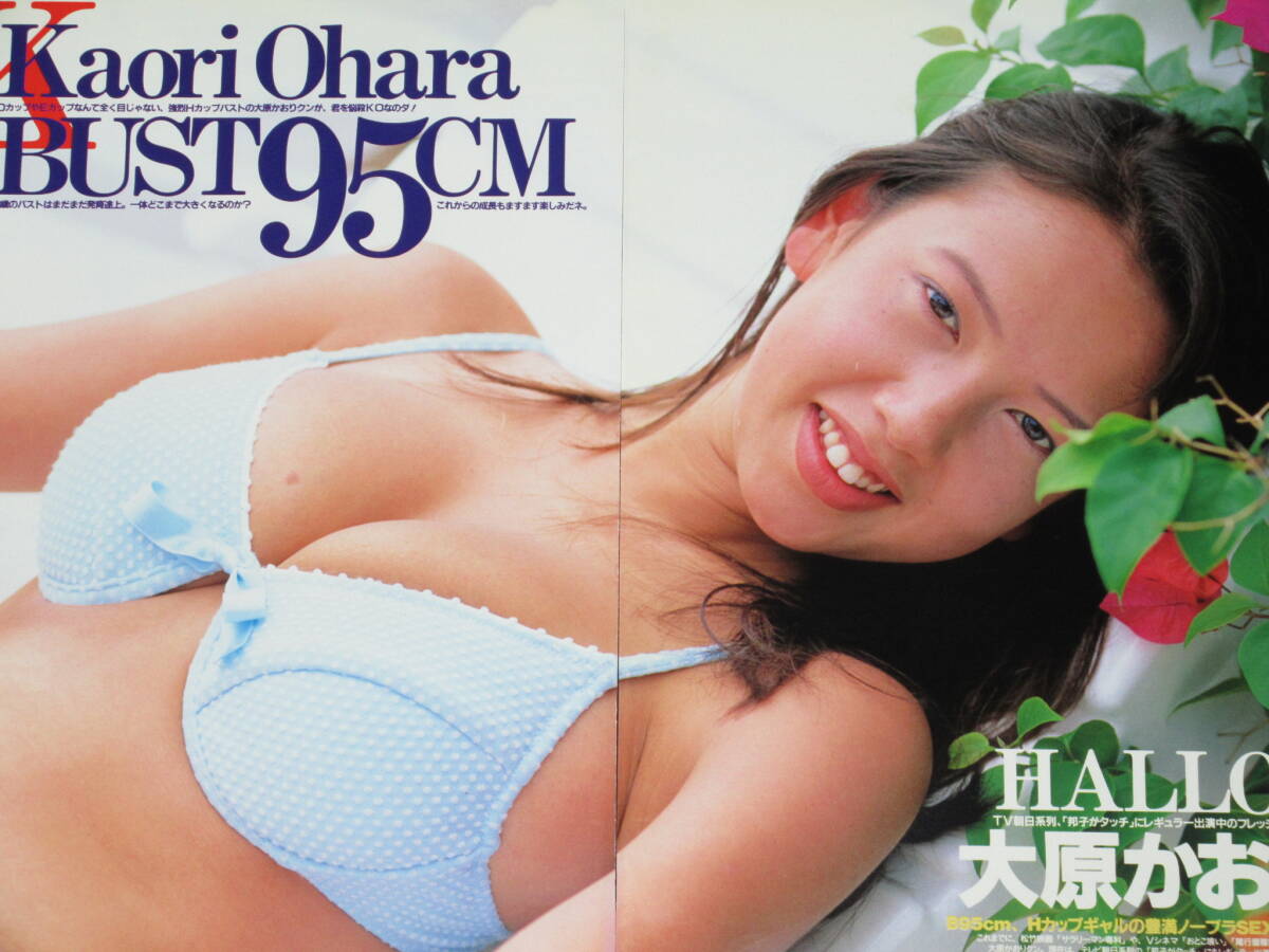 Yahoo!オークション - 大原かおり 切り抜き 「HALLOA」 PIXIE 17 1997...