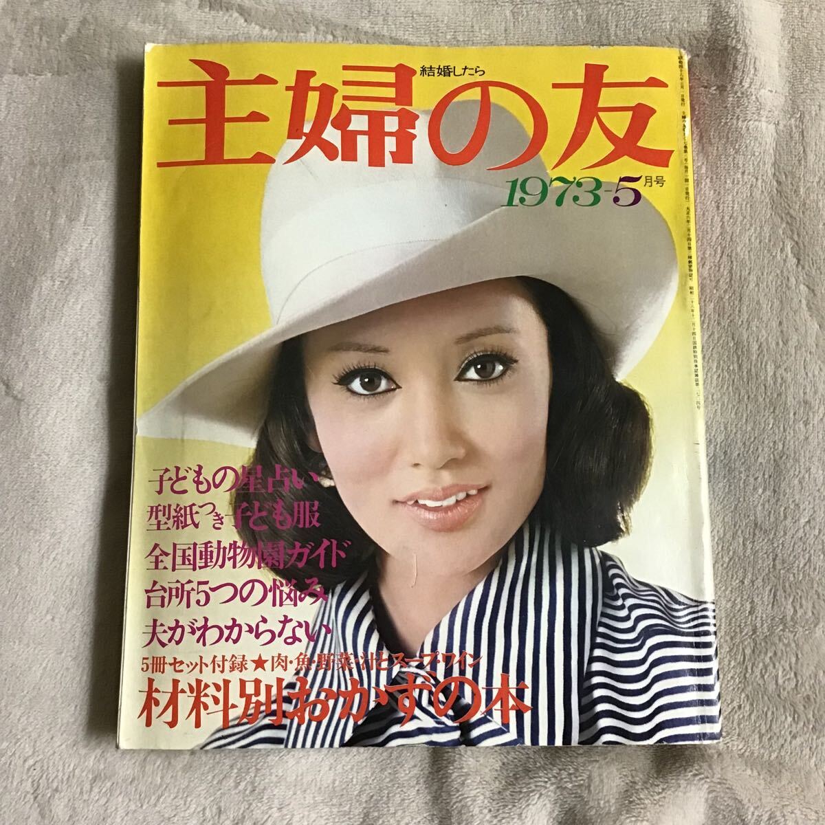 Yahoo!オークション - 主婦の友 1973年5月号 浅丘ルリ子 付録無 昭和レ...