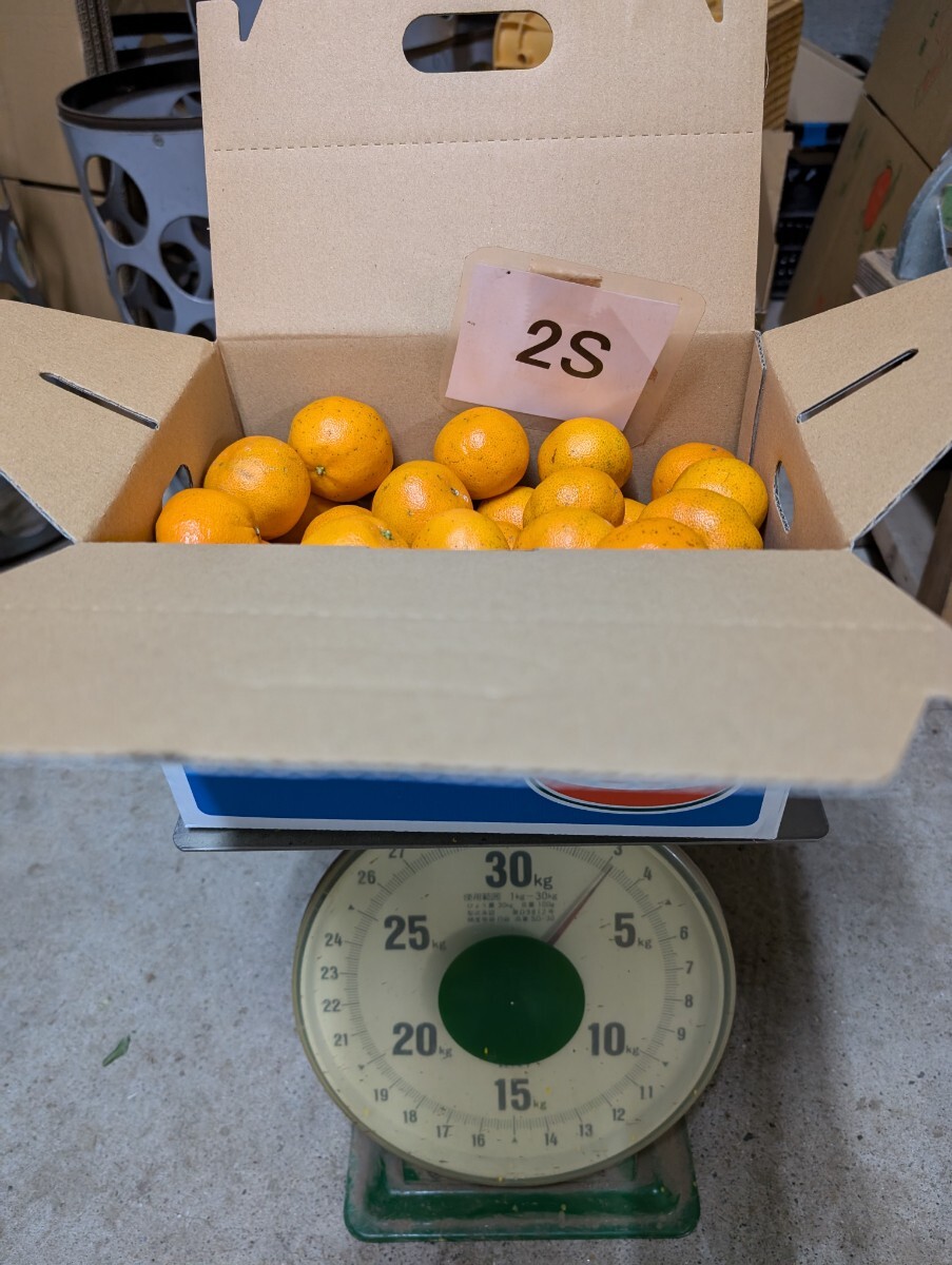 Yahoo!オークション - 愛媛西宇和産 太田ぽんかん 2S 3kg