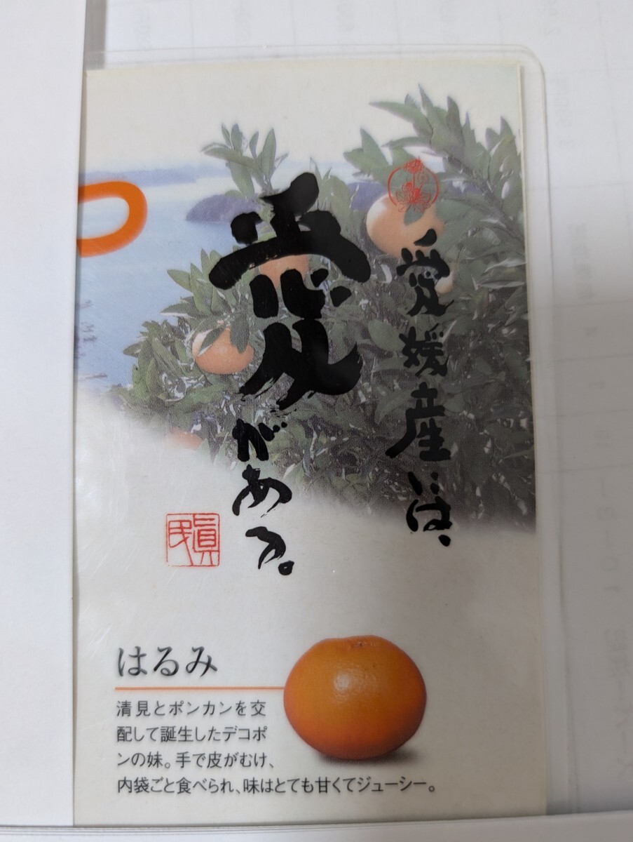 Yahoo!オークション - 愛媛西宇和産 はるみ 2L 7kg