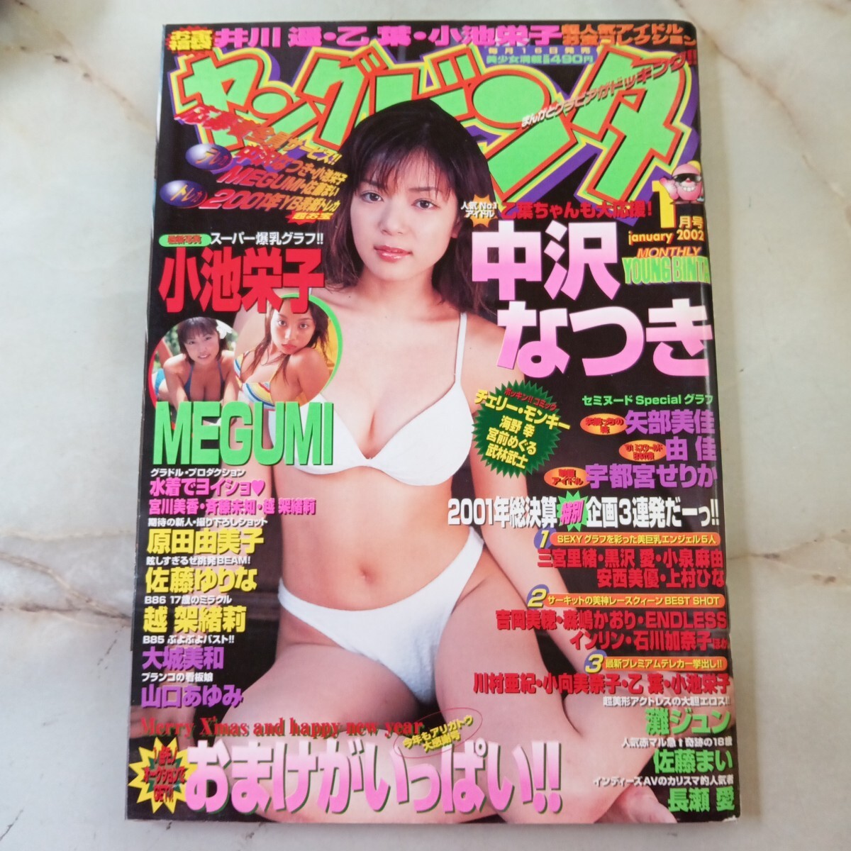 Yahoo!オークション - ヤングビンタ 2002年1月号 中沢なつき/水着テレ...