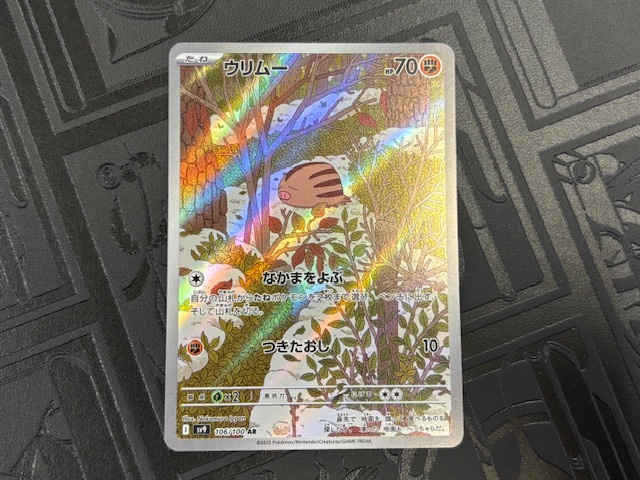 ポケモンカード ウリムー AR SV9_106/100 トレカ バトルパートナーズ(シングルカード)｜売買されたオークション情報、yahooの商品情報をアーカイブ公開 - オークファン ...