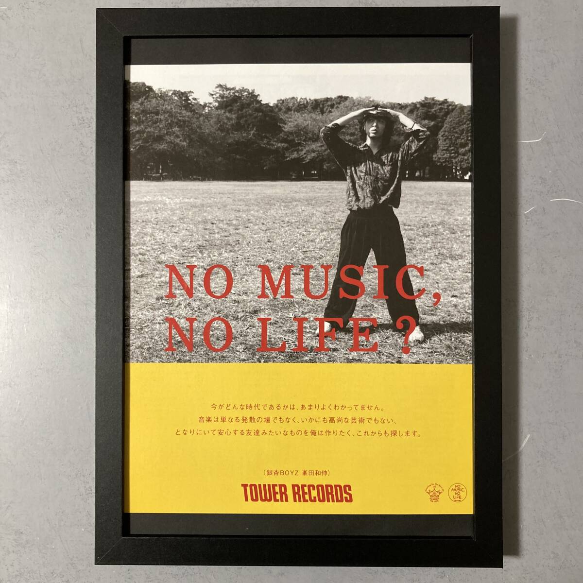 Yahoo!オークション - 額装品 銀杏BOYZ 峯田和伸 タワレコ A4サイズ額...
