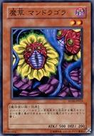 Yahoo!オークション - 中古遊戯王 SD16-JP015[N] 魔草マンドラゴラ