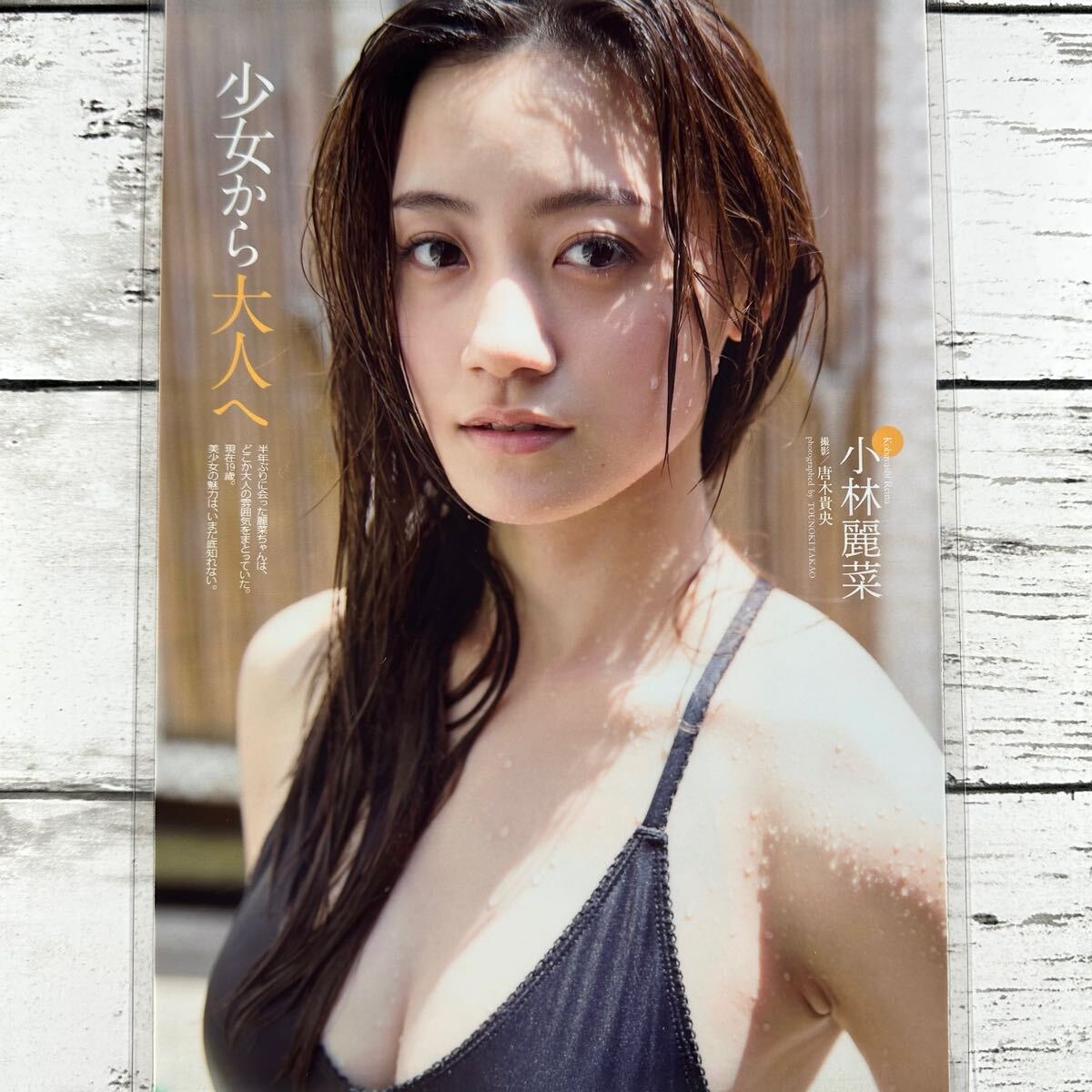 高品質ラミネート処理 小林麗菜 プレイボーイ 2014年43号 雑誌 切り抜き 6P B5フィルム 水着 グラビア アイドル 芸能人 女優(タレント)｜売買されたオークション情報、yahooの ...