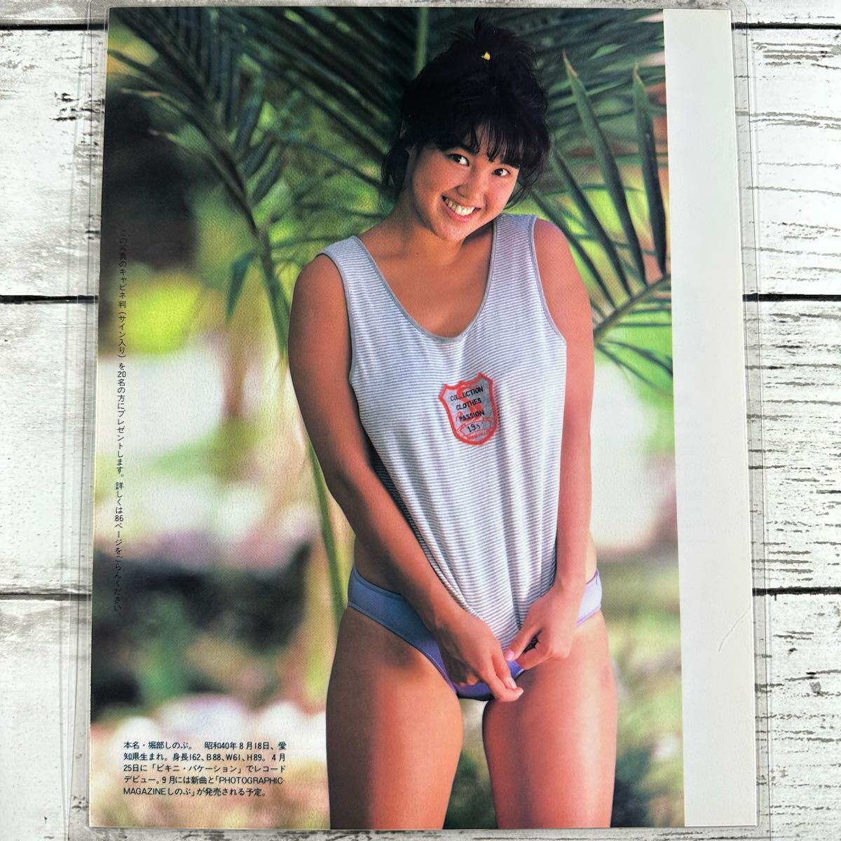 Yahoo!オークション - [高品質ラミネート処理][ 堀江しのぶ ] DELUXE 1...