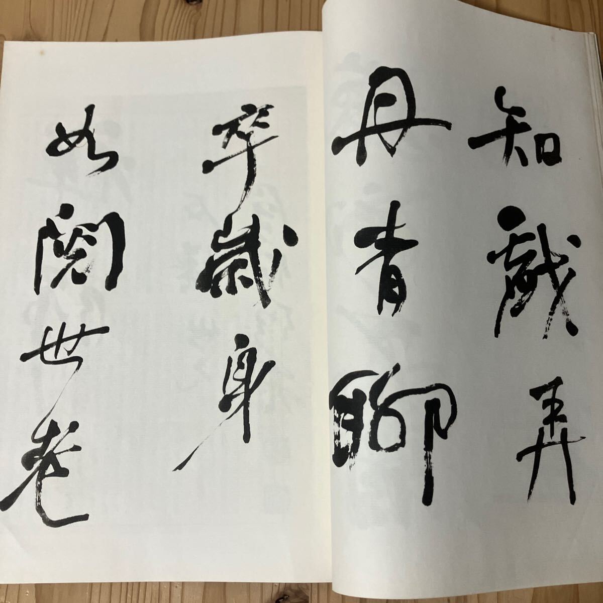 Yahoo!オークション - カヲH44-0129[何子貞行書帖] コロタイプ精印 書...