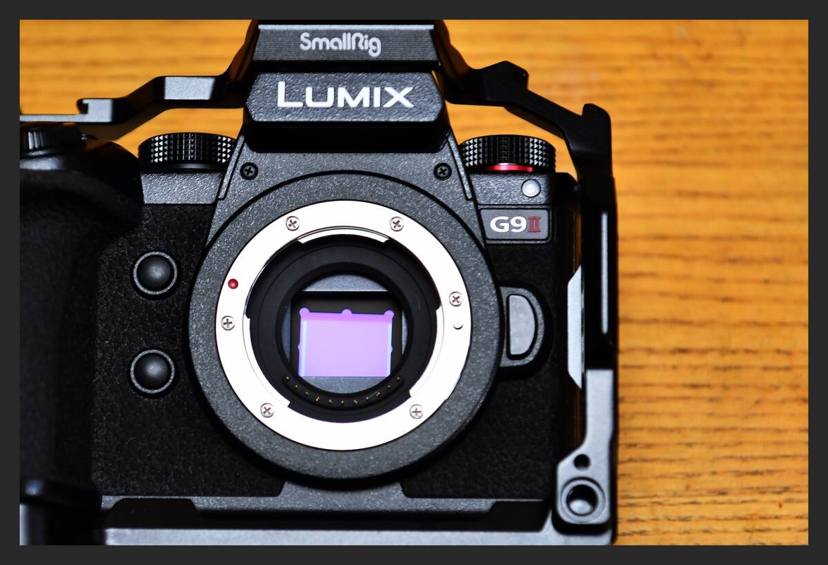 Yahoo!オークション - 【美品 LUMIX DC-G9M2 ＆ SmallRig ケージ付】