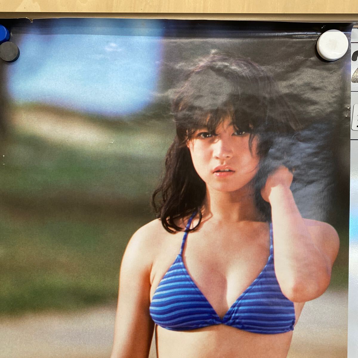1 中森明菜 水着ポスター|タレント 1 中森明菜 水着ポスター|タレント