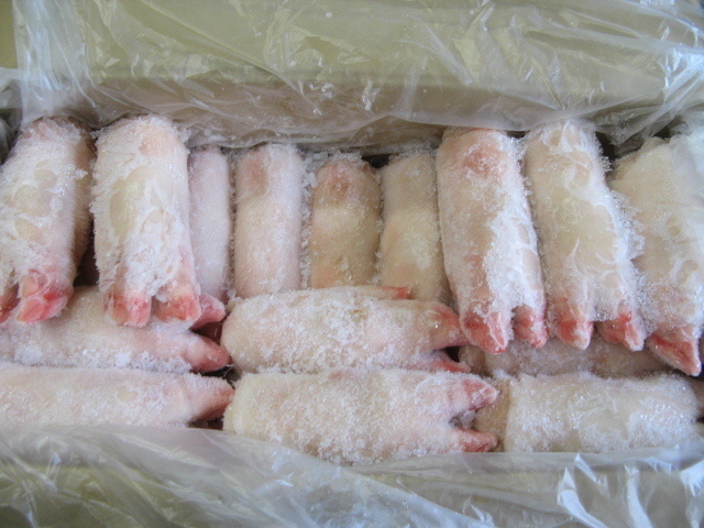 Yahoo!オークション - 豚足 約9K