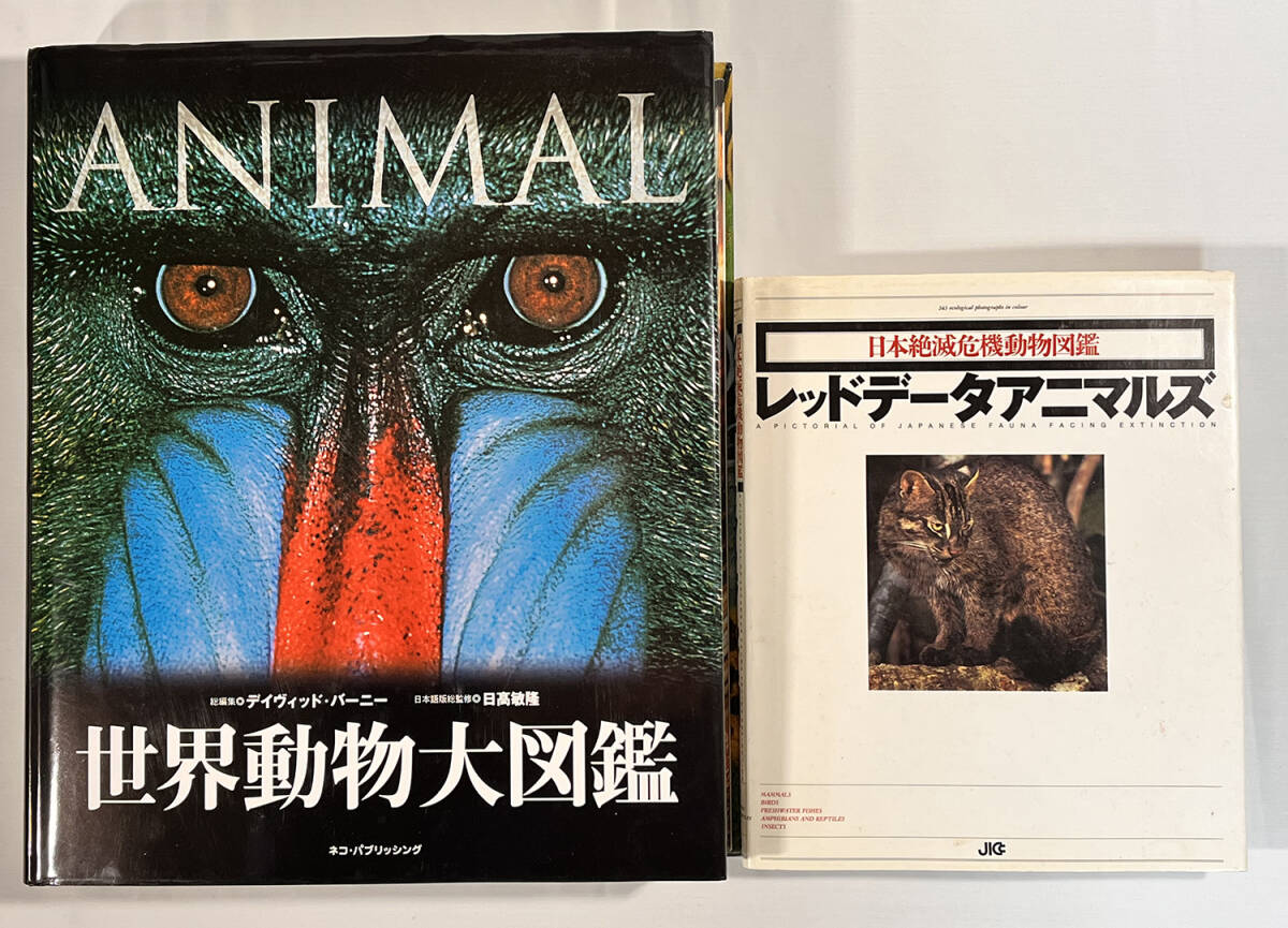 Yahoo!オークション - (Y85)世界動物大図鑑 デイビッド・バーニー 日本...