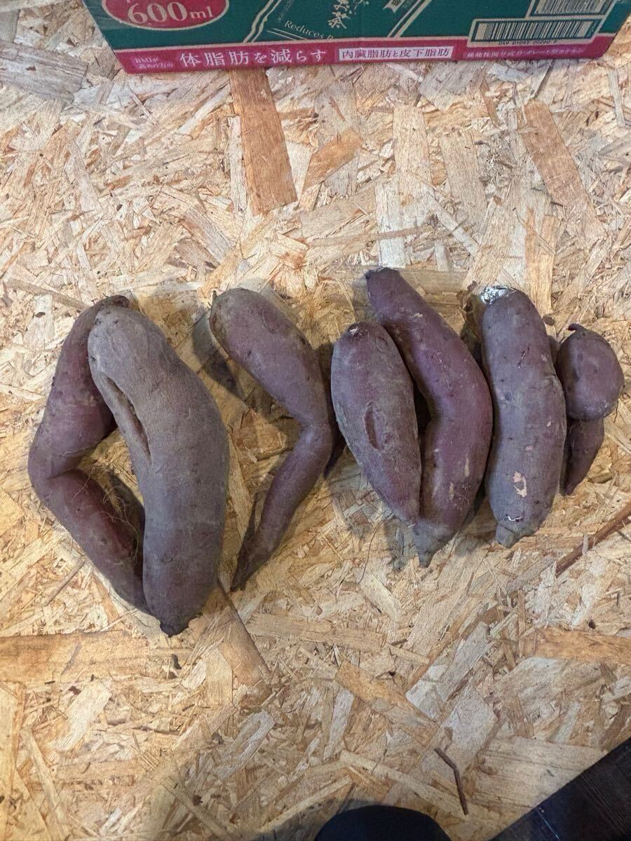 Yahoo!オークション - 北海道産さつまいも(シルクスイート) ②訳あり ...