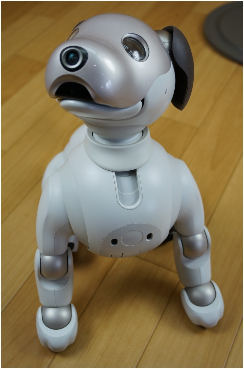 元気 SONY ソニー バーチャルペット アイボ 犬型 ロボット AIBO ERS-1000 元箱発送(AIBO)｜売買されたオークション情報、yahooの商品情報をアーカイブ公開 ...