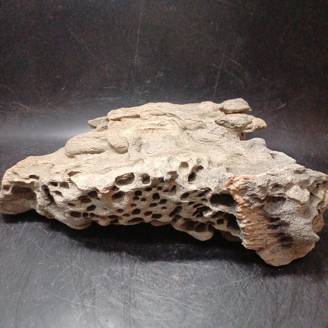 Yahoo!オークション - 12308 南極の石 柘榴石黒雲母片麻岩 6.3kg